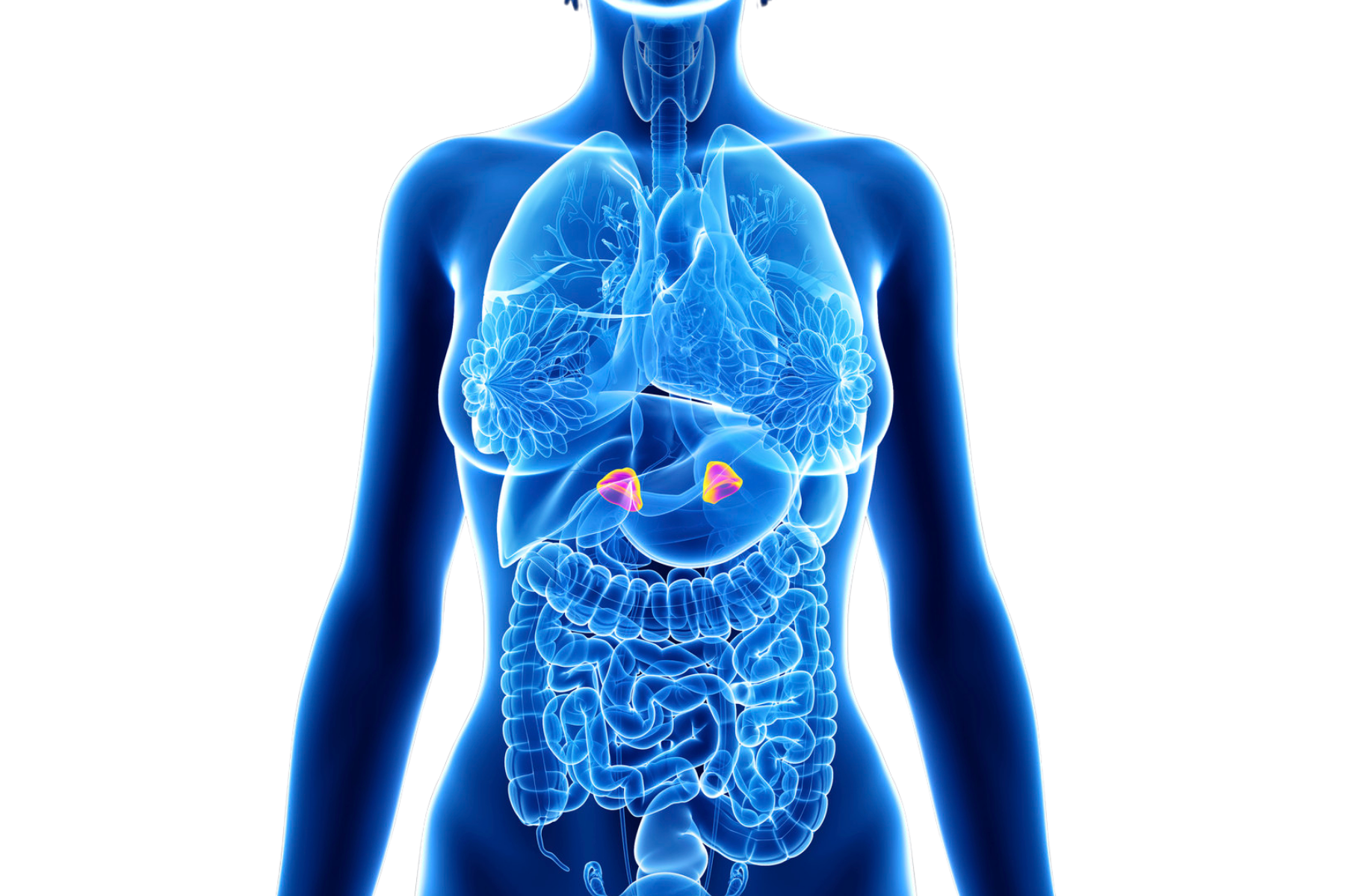 How To Feel Good During Lockdown - THE HOPE MOLECULE