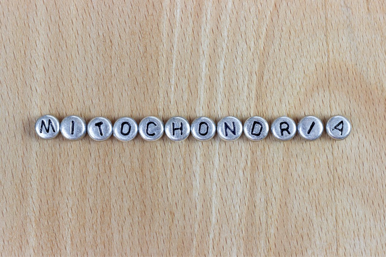 How to Boost Mitochondria for Energy, Longevity and Healthy Aging ...